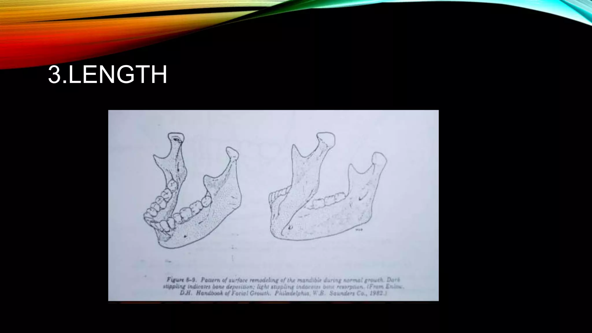 Growth and Development of Mandible | PPTX