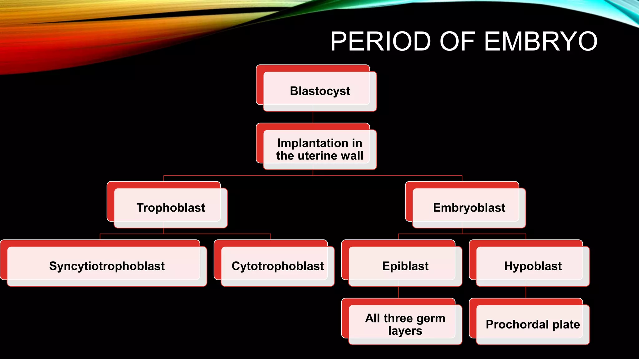 Growth and Development of Mandible | PPTX
