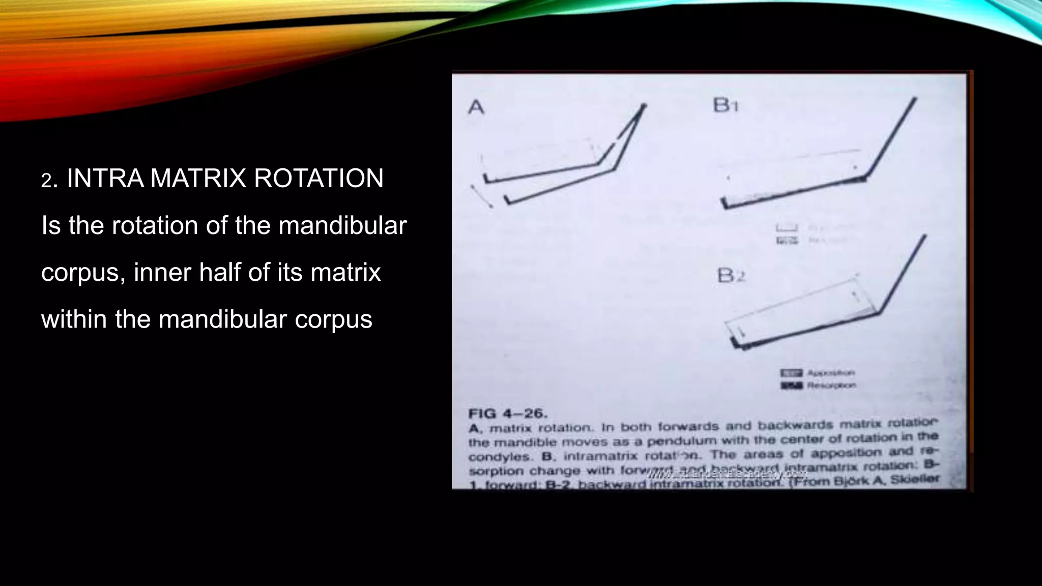Growth and Development of Mandible | PPTX