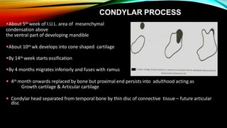 Growth and Development of Mandible | PPTX