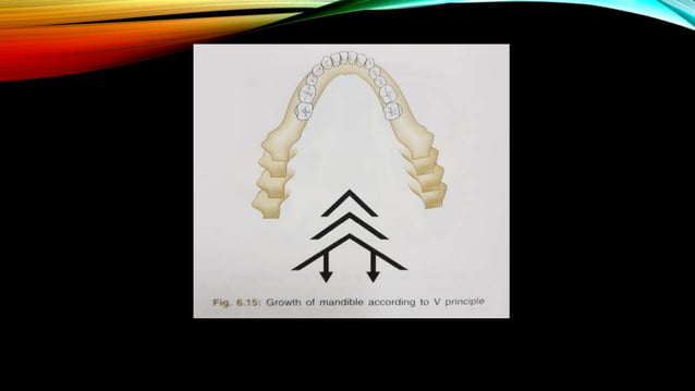 Growth and Development of Mandible | PPTX