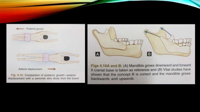 Growth and Development of Mandible | PPTX