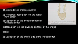 Growth and Development of Mandible | PPTX