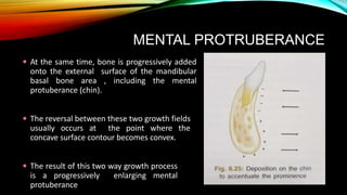 Growth and Development of Mandible | PPTX