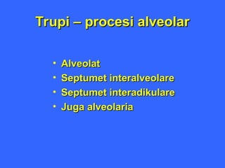 Mandibula dhe Maksila. Document power point | PPT