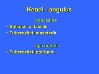 Mandibula dhe Maksila. Document power point | PPT