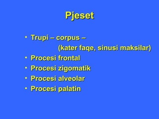Mandibula dhe Maksila. Document power point | PPT