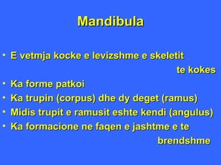 Mandibula dhe Maksila. Document power point | PPT