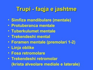 Mandibula dhe Maksila. Document power point | PPT