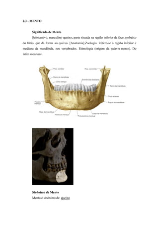Mandíbula oficial.pdf