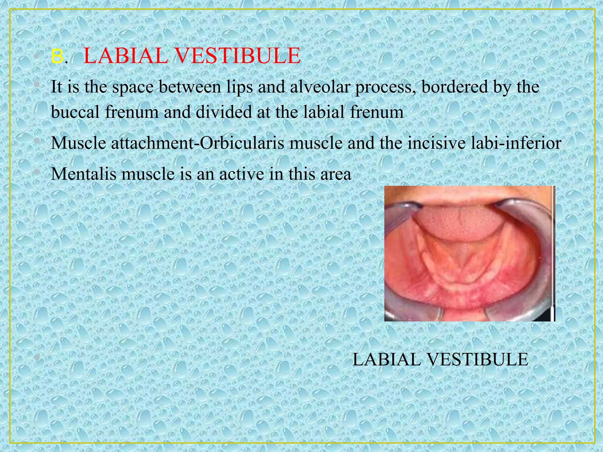 Anatomical Landmarks Mandibular prosthodontics | PPTX