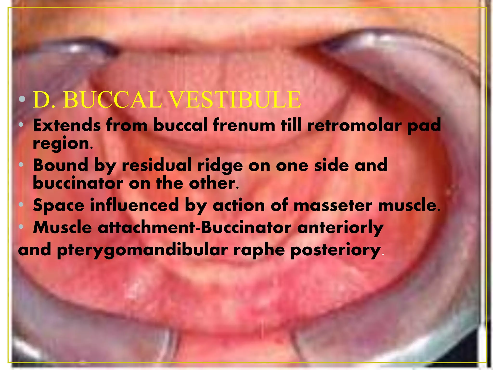 Anatomical Landmarks Mandibular prosthodontics | PPTX
