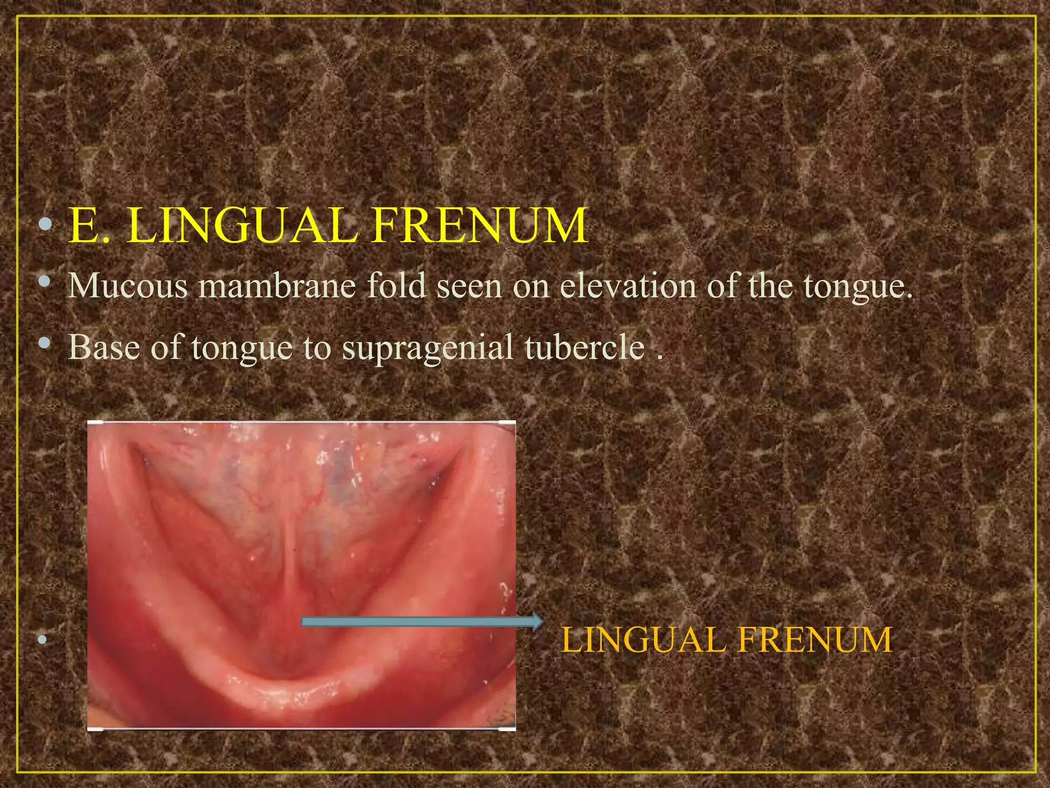 Anatomical Landmarks Mandibular prosthodontics | PPTX