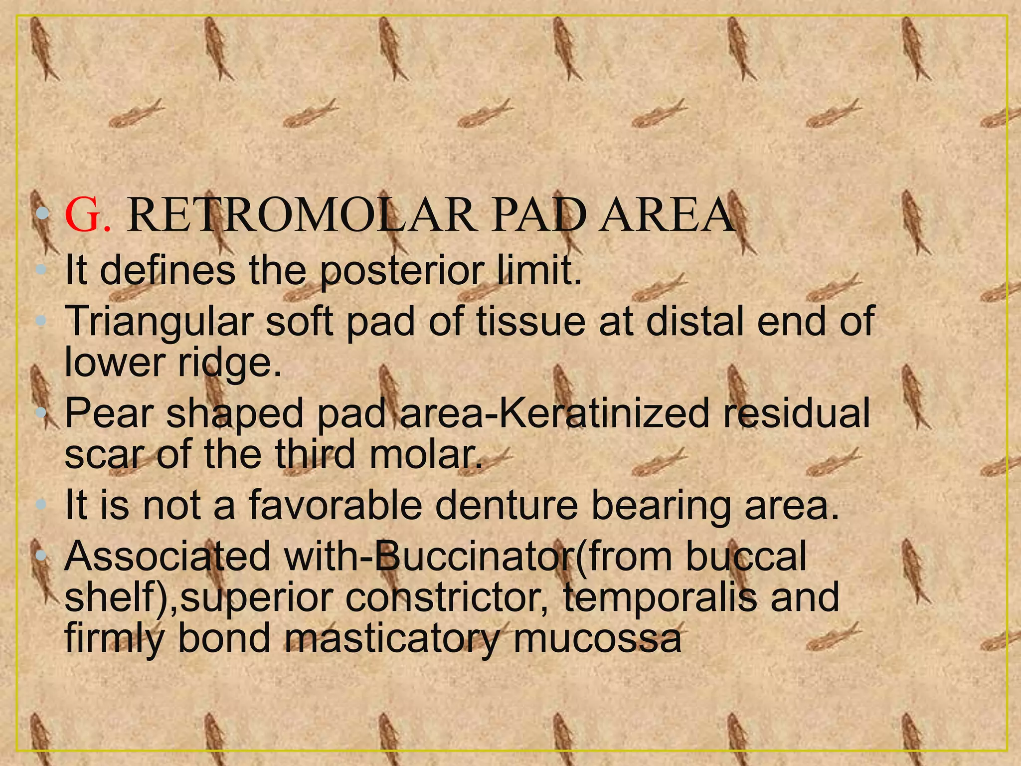 Anatomical Landmarks Mandibular prosthodontics | PPTX