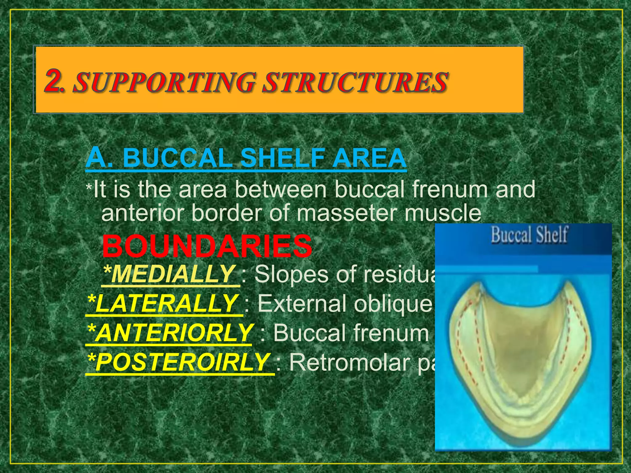 Anatomical Landmarks Mandibular prosthodontics | PPTX