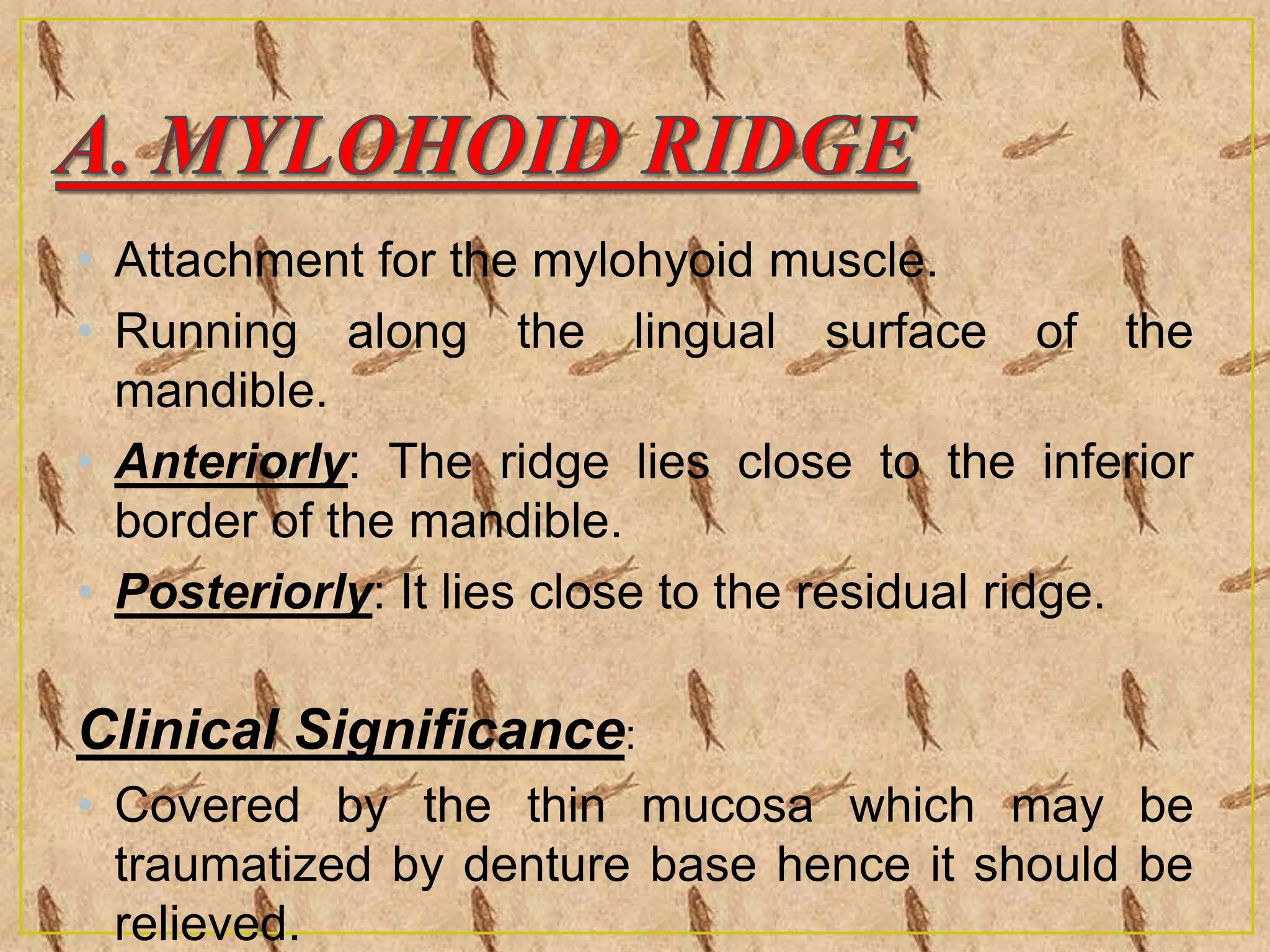 Anatomical Landmarks Mandibular prosthodontics | PPTX