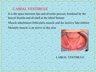 Anatomical Landmarks Mandibular prosthodontics | PPTX