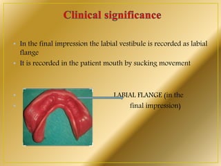 Anatomical Landmarks Mandibular prosthodontics | PPTX