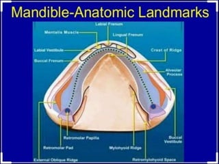 Anatomical Landmarks Mandibular prosthodontics | PPTX