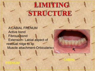 Anatomical Landmarks Mandibular prosthodontics | PPTX