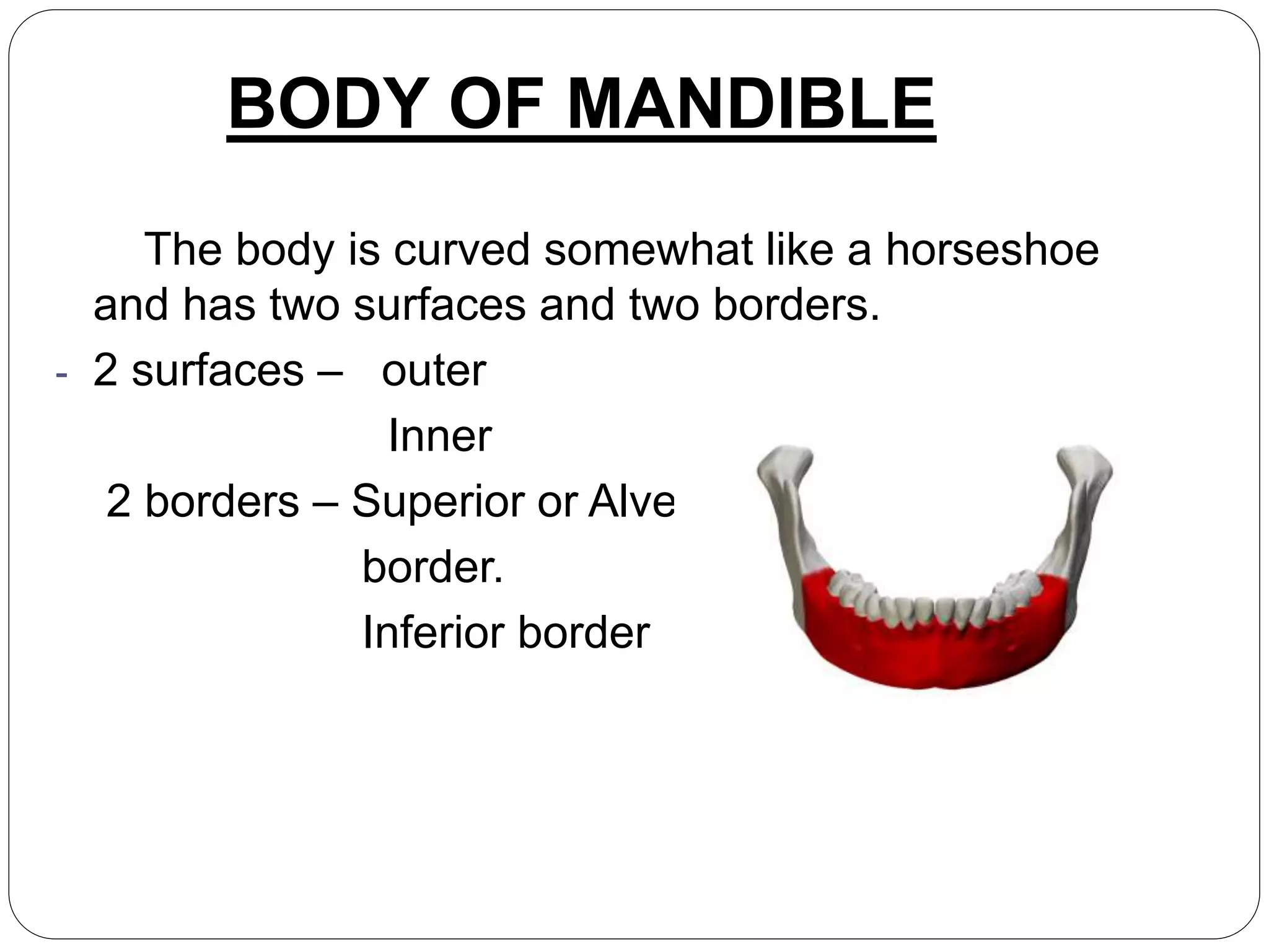 MANDIBULAR ANATOMICAL LANDMARK APOORWA - Copy - Copy.pptx
