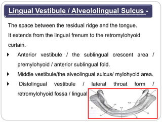 MANDIBULAR ANATOMICAL LANDMARK APOORWA - Copy - Copy.pptx