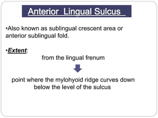 MANDIBULAR ANATOMICAL LANDMARK APOORWA - Copy - Copy.pptx