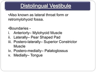 MANDIBULAR ANATOMICAL LANDMARK APOORWA - Copy - Copy.pptx
