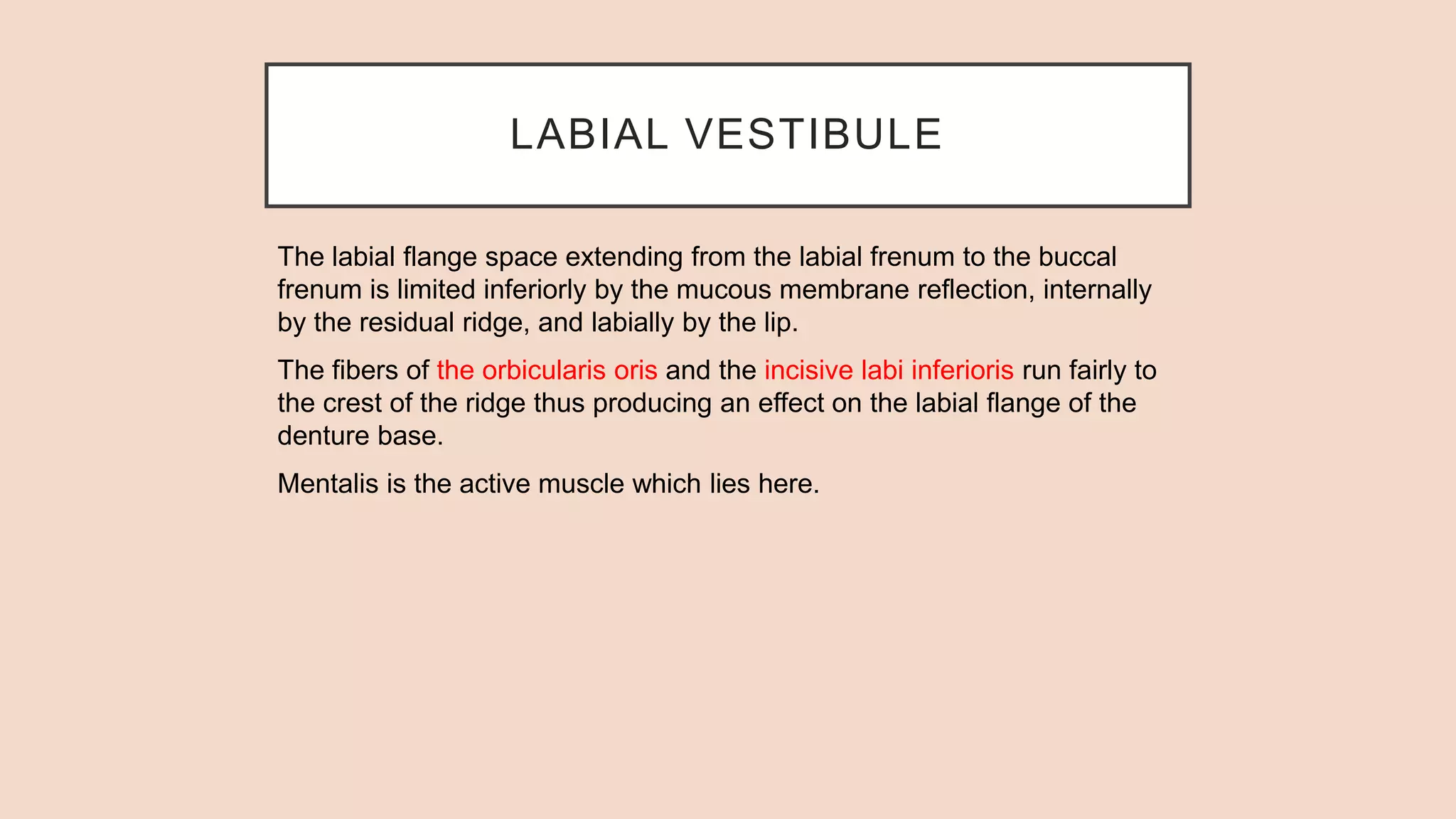 Mandibular anatomical landmarks | PPTX