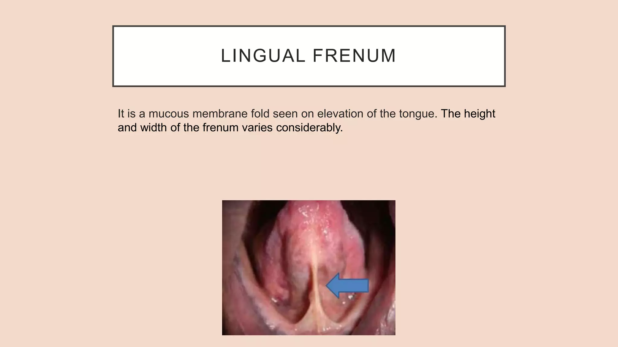 Mandibular anatomical landmarks | PPTX