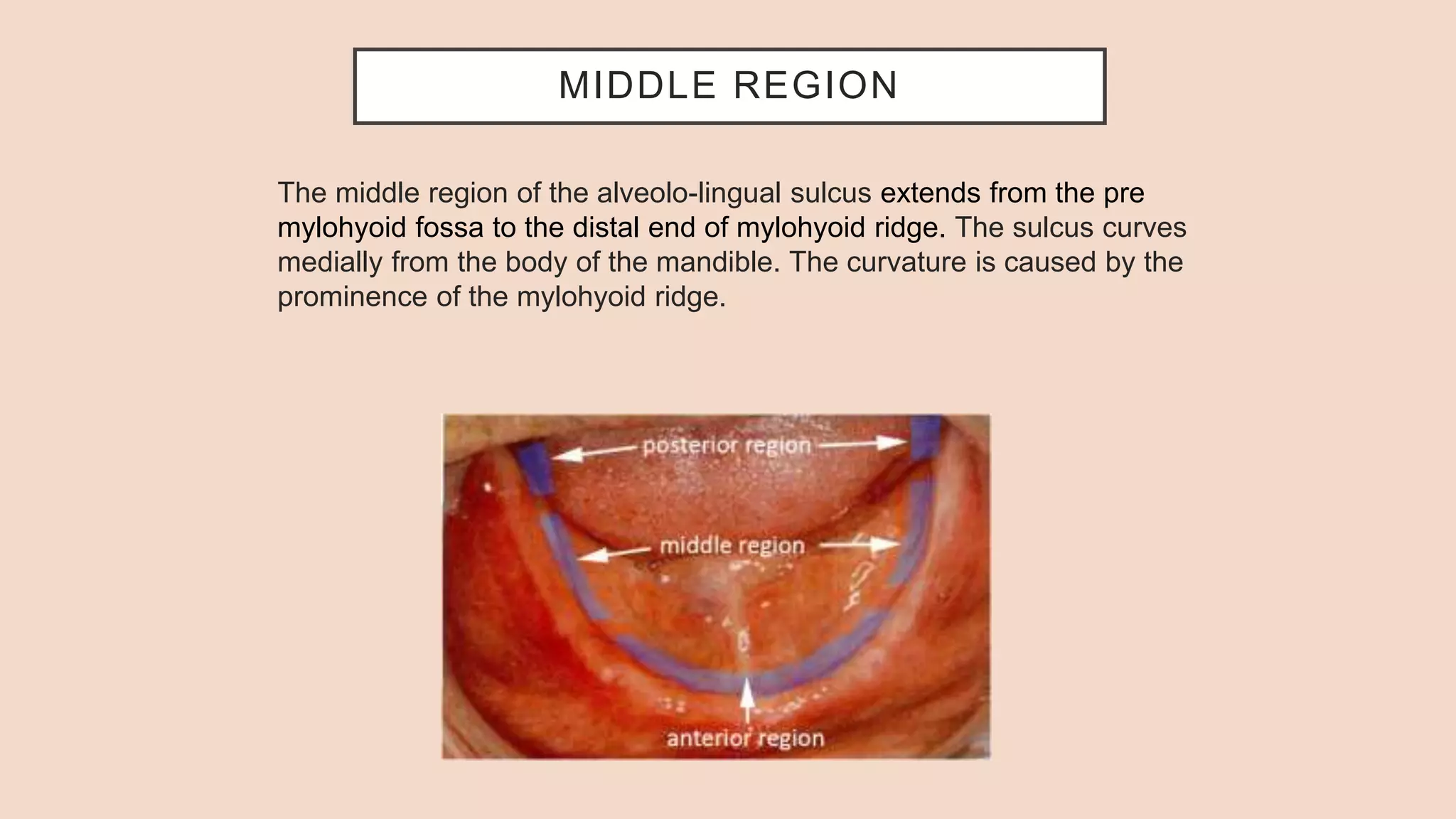 Mandibular anatomical landmarks | PPTX