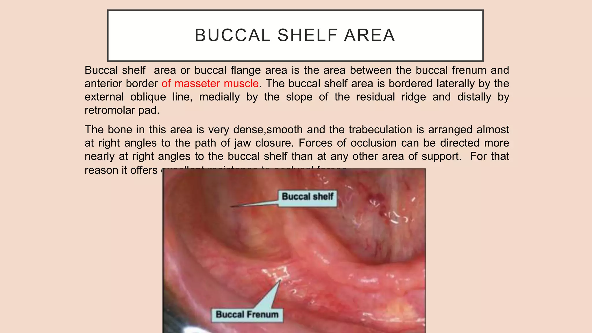 Mandibular anatomical landmarks | PPTX
