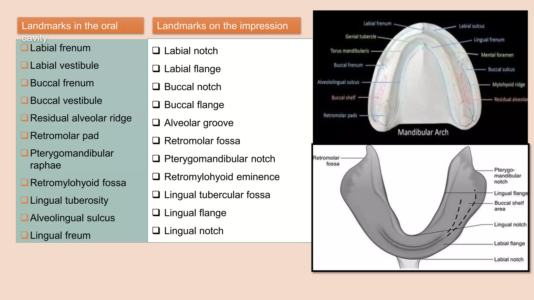 Mandibular anatomical landmarks | PPTX
