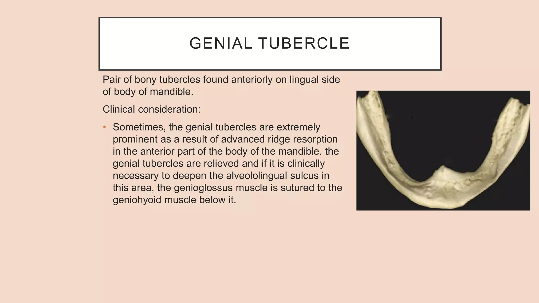 Mandibular anatomical landmarks | PPTX