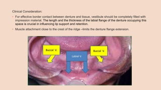 Mandibular anatomical landmarks | PPTX