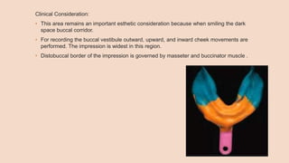 Mandibular anatomical landmarks | PPTX