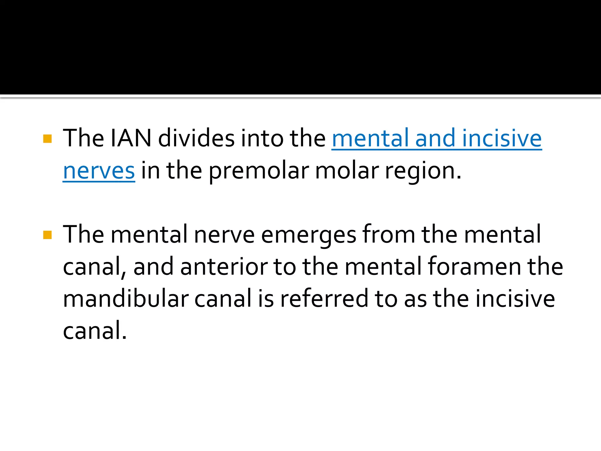 Mandibular anatomy for dental implant | PPTX