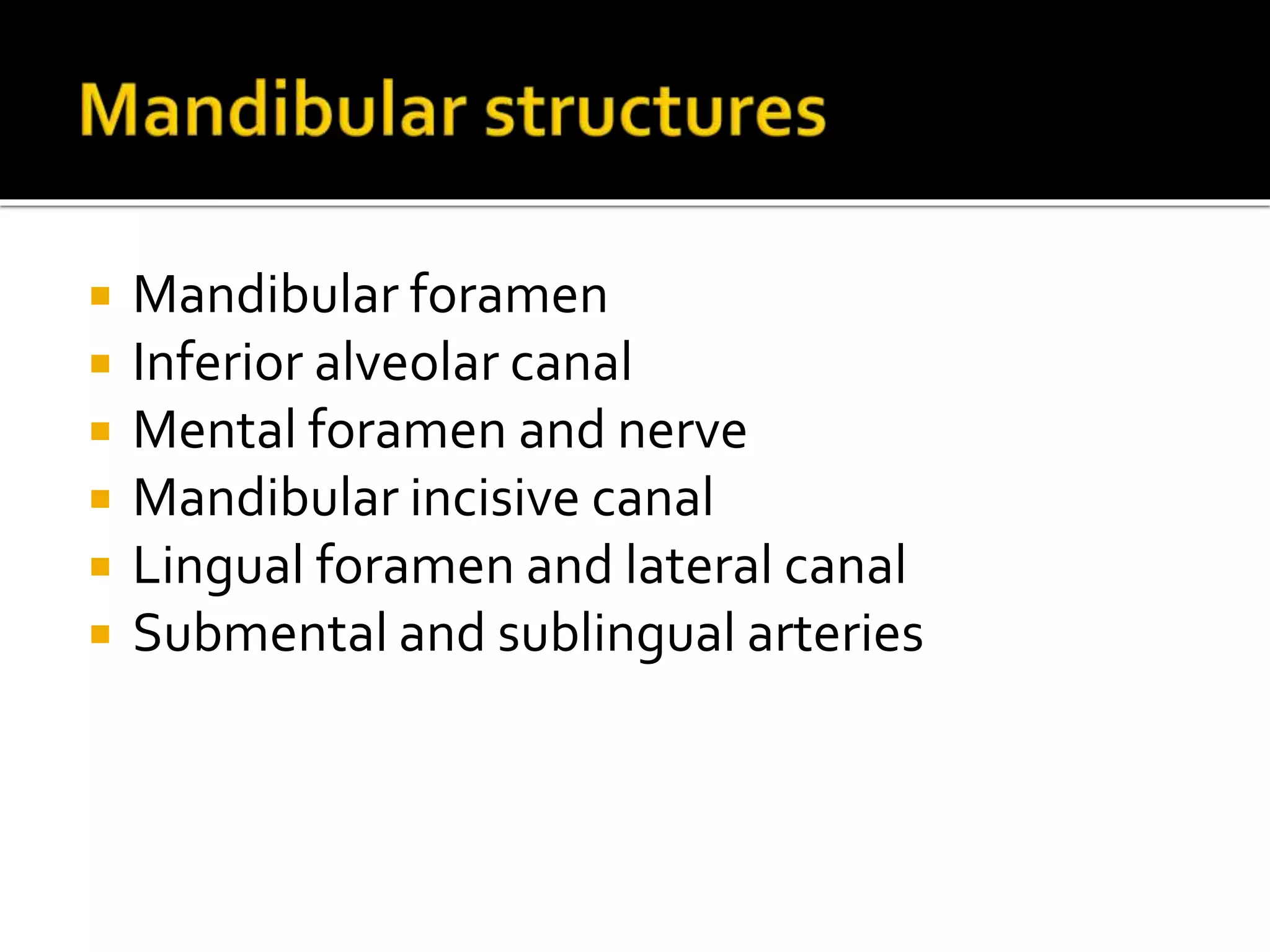 Mandibular anatomy for dental implant | PPTX