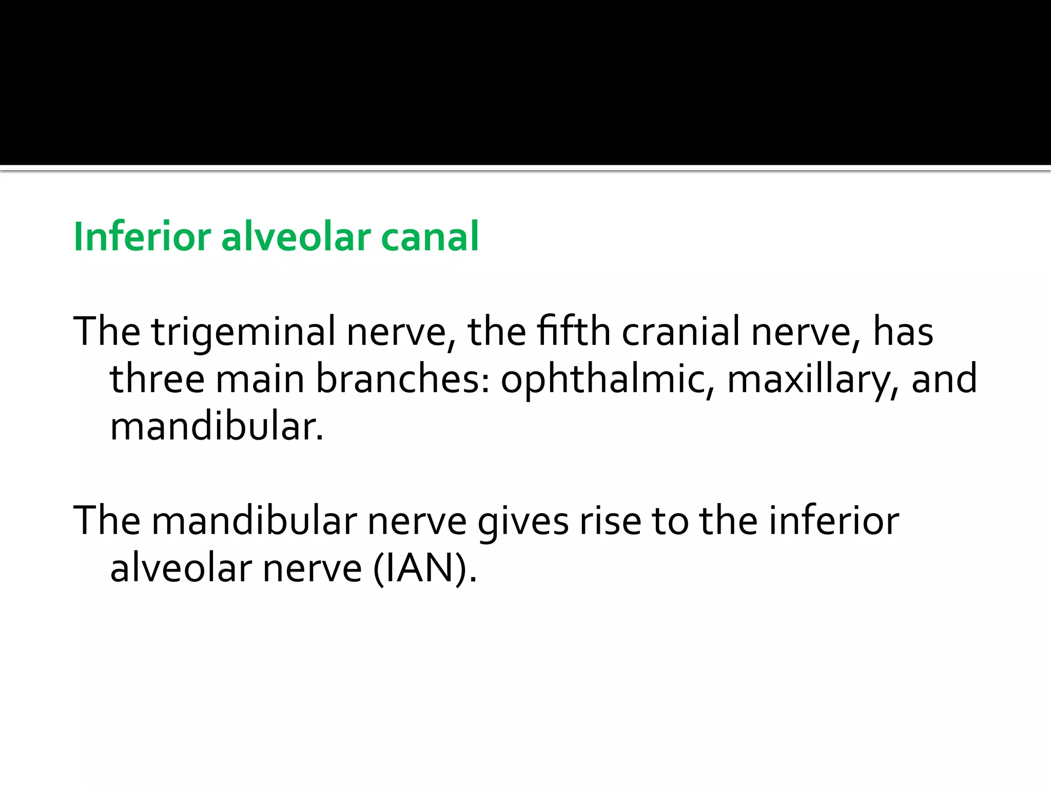 Mandibular anatomy for dental implant | PPTX