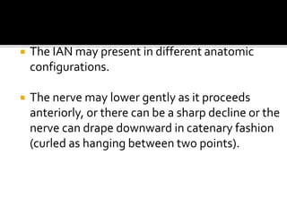 Mandibular anatomy for dental implant | PPTX