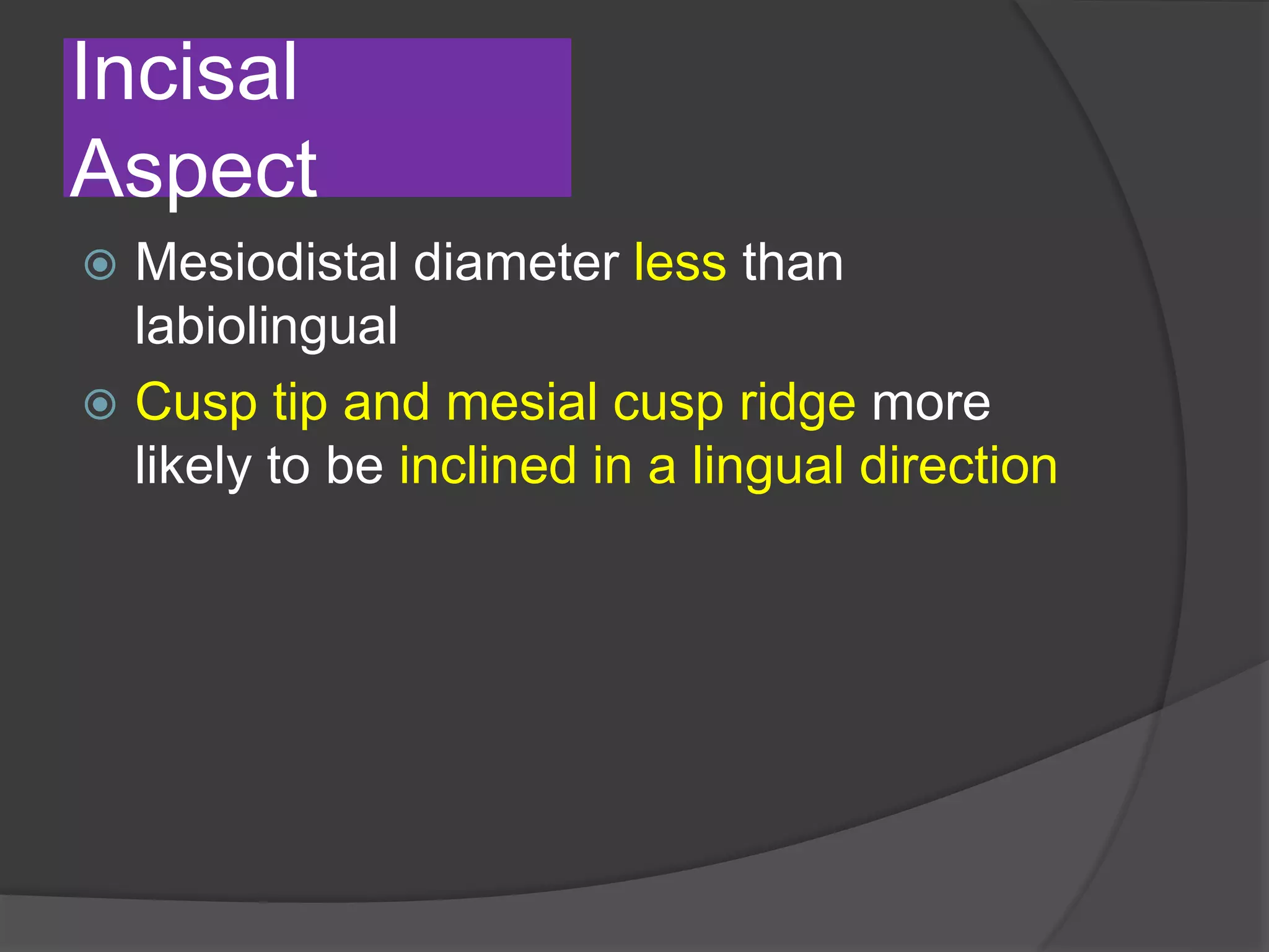 PERMANENT MANDIBULAR CANINE/CUSPID | PPTX