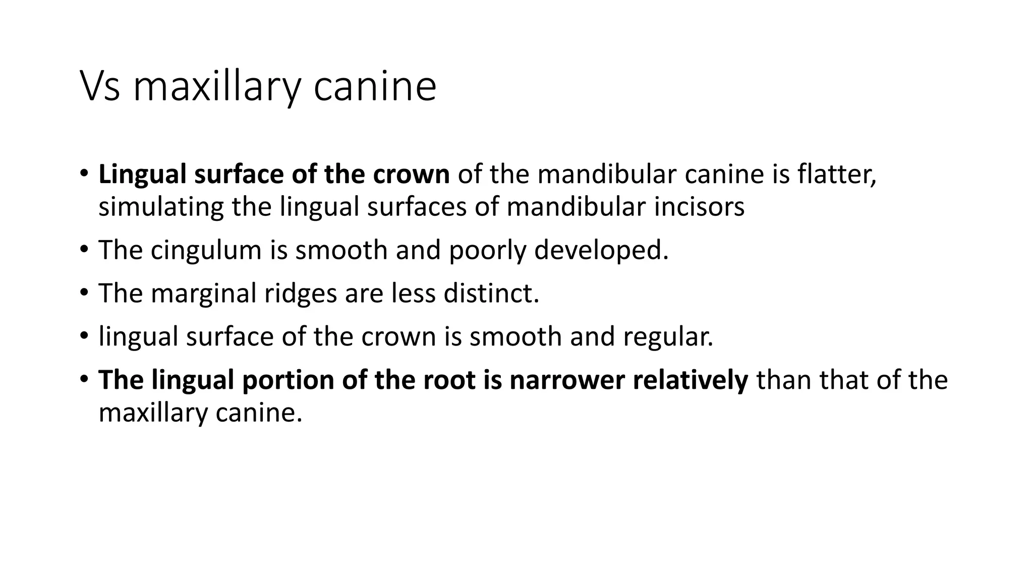 Mandibular canine | PPTX