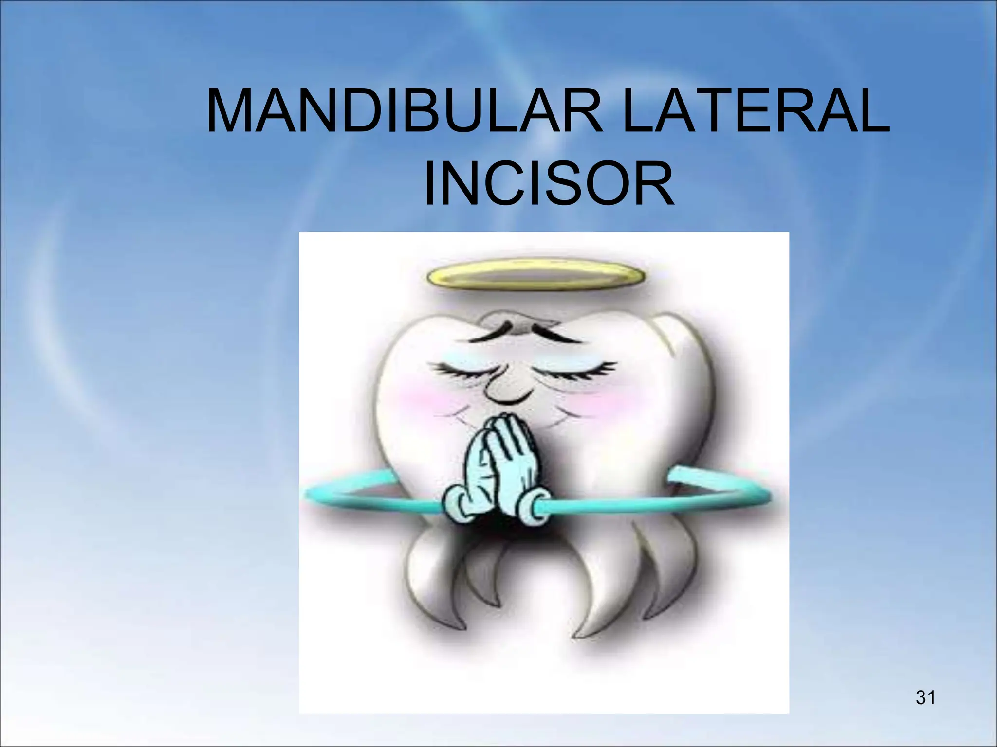 MANDIBULAR CENTRAL AND LATERAL INCISOR.ppt