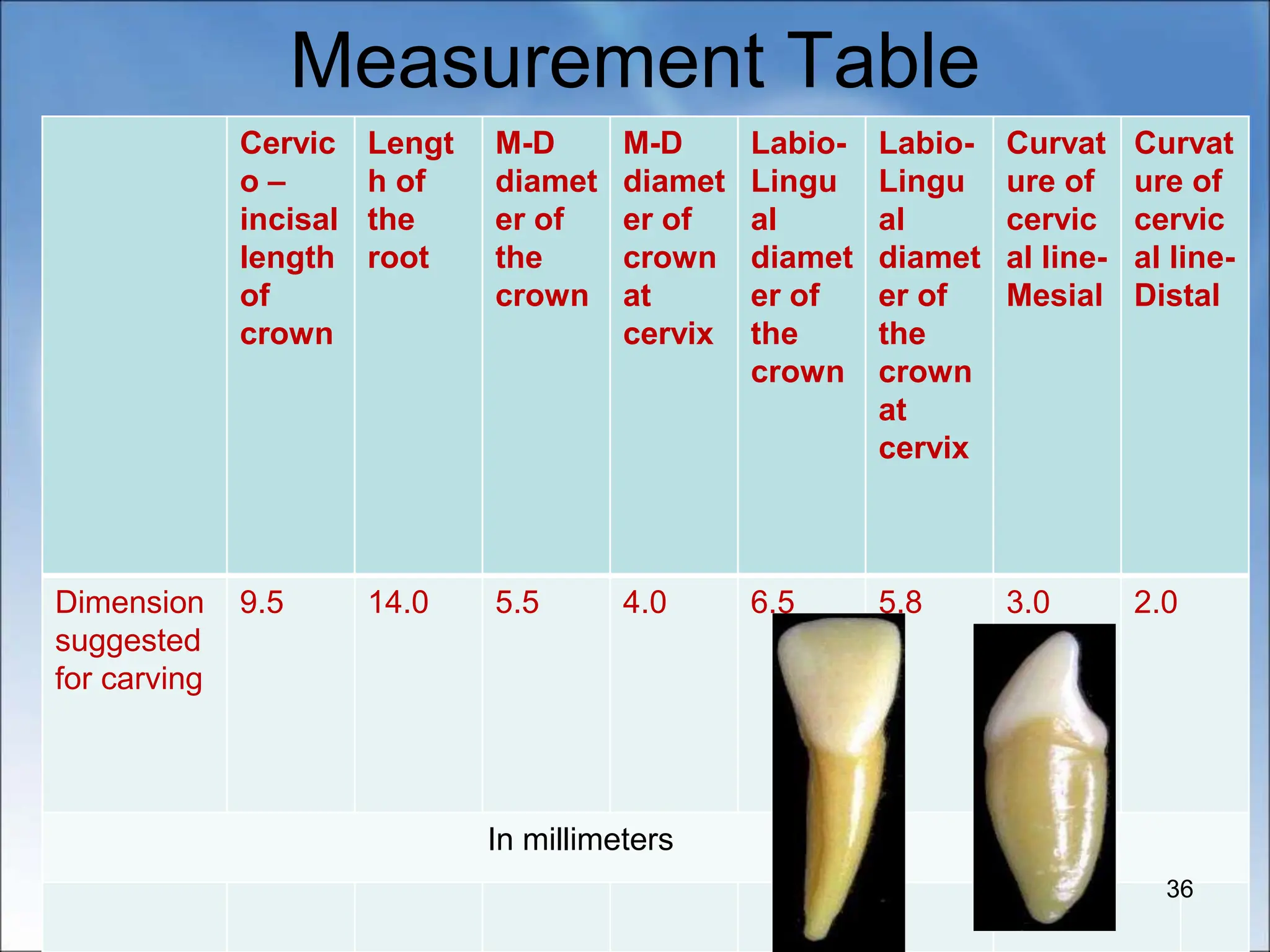 MANDIBULAR CENTRAL AND LATERAL INCISOR.ppt