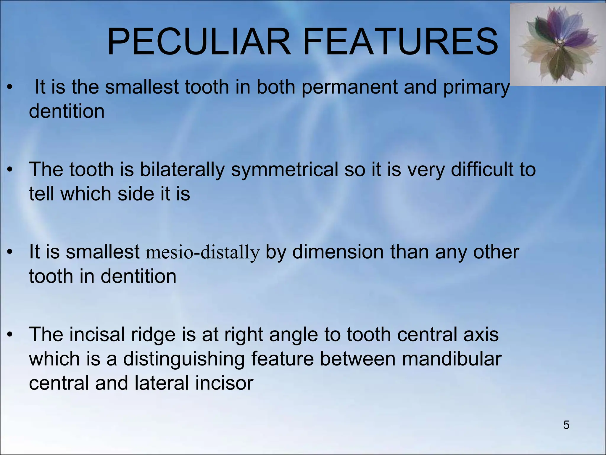 MANDIBULAR CENTRAL AND LATERAL INCISOR.ppt