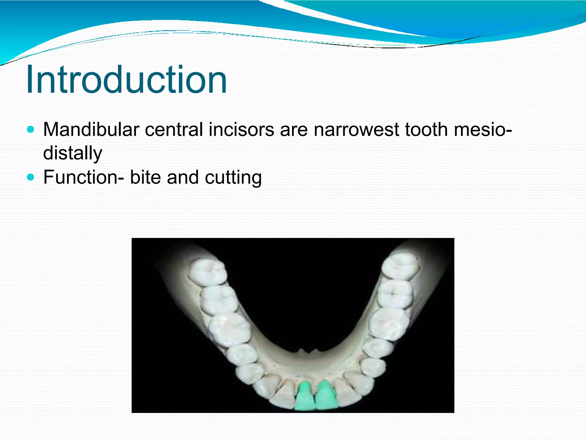 Mandibular central incisor | PPTX