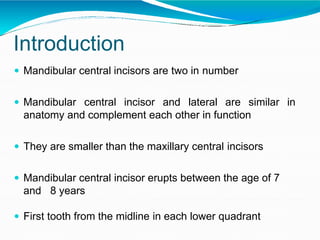 Mandibular central incisor | PPTX