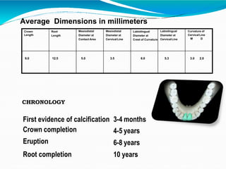 Mandibular central incisor | PPTX