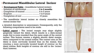 The mandibular incisors | PDF
