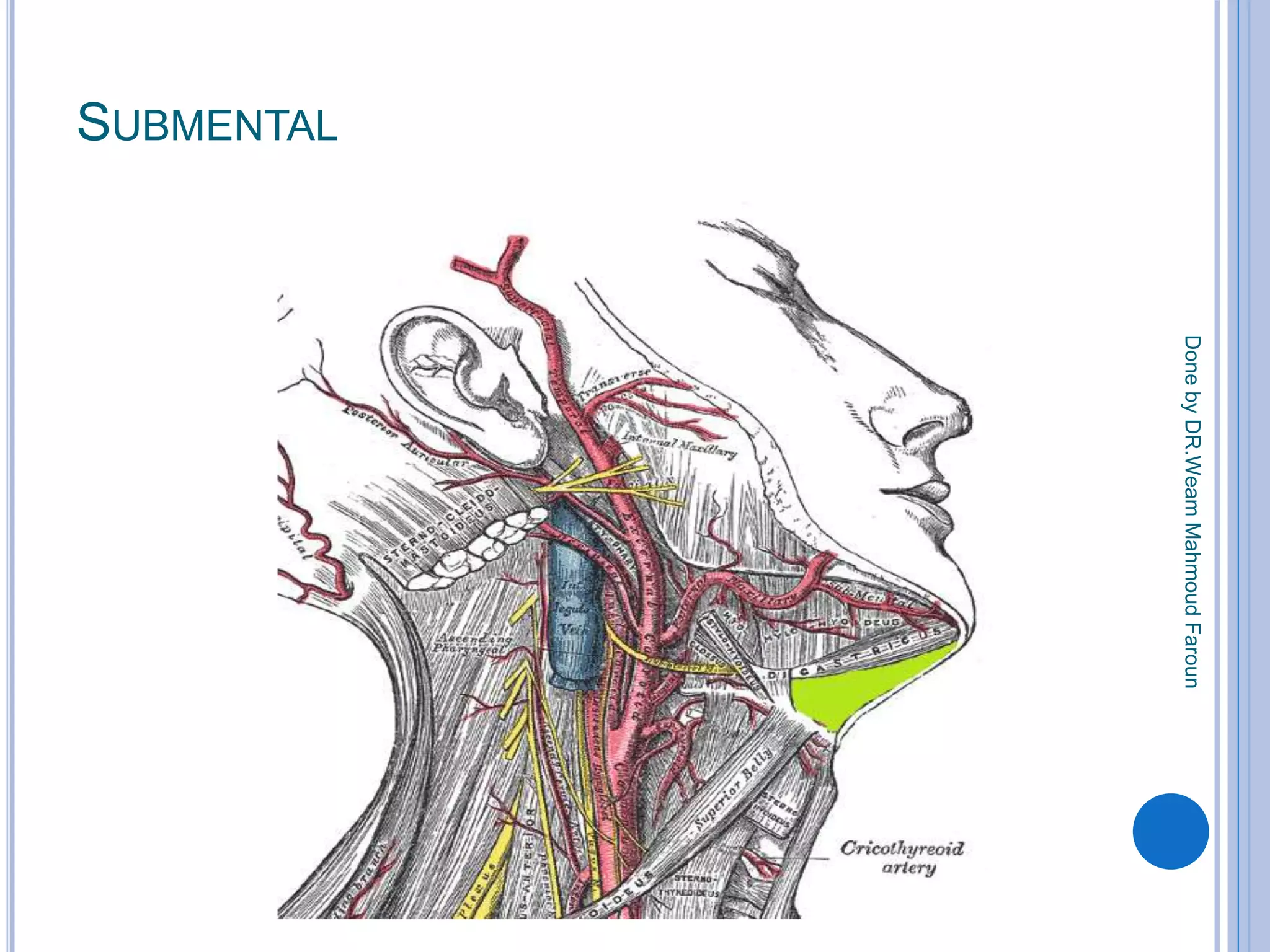 Mandibular facsial spaces | PPTX